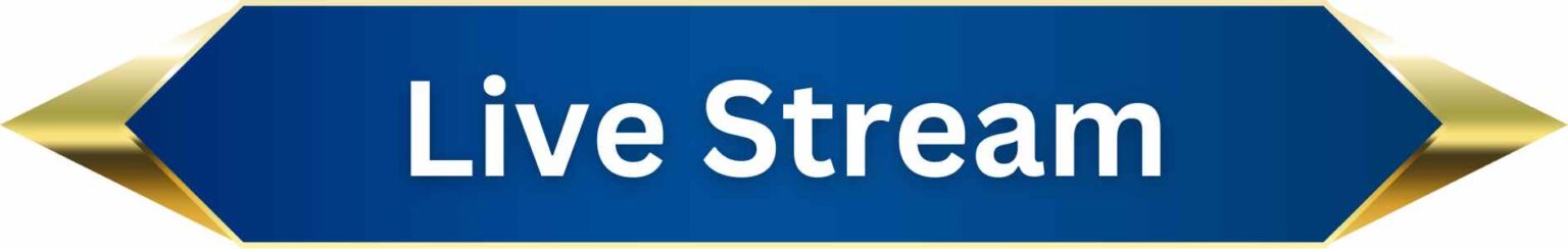 Live Stream